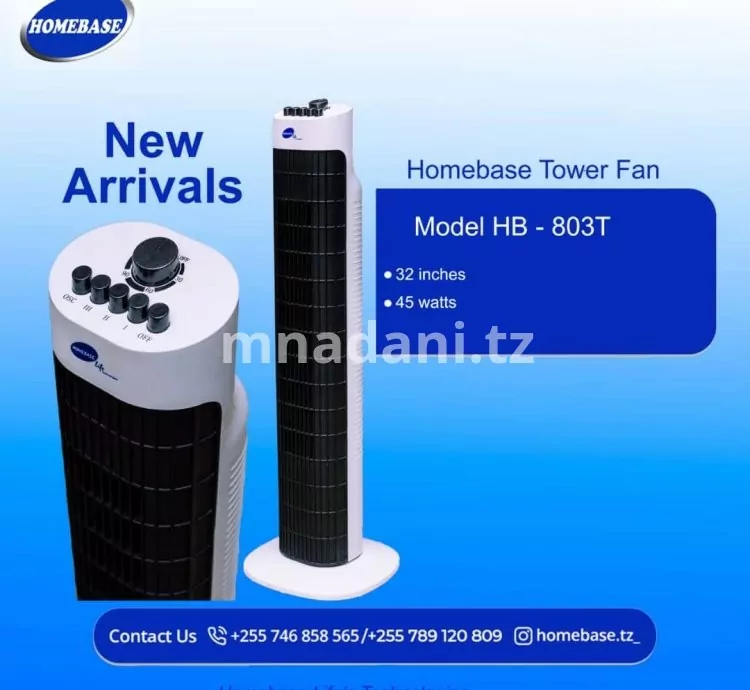 Homebase Tower Fan - Mnadani - Tanzania